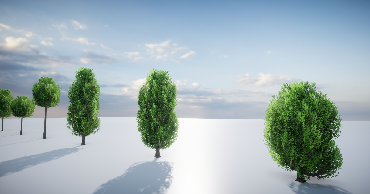 HDRP Tree Pack 1 | 3D Trees | Unity Asset Store