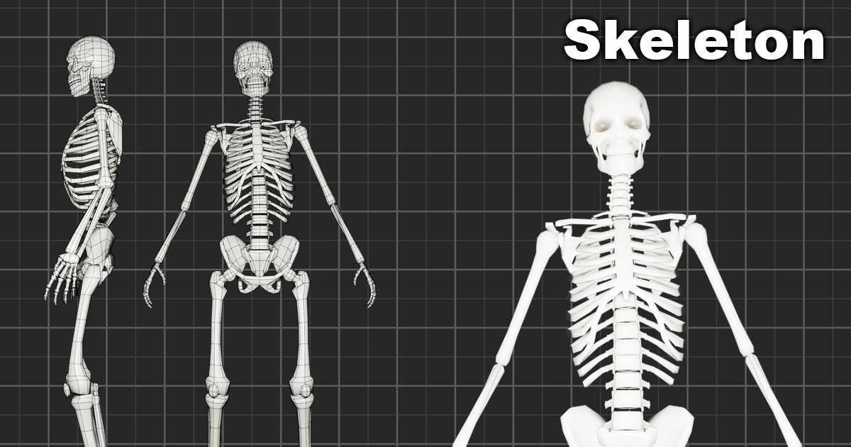 Skeleton 3D Humanoid rig | Characters | Unity Asset Store