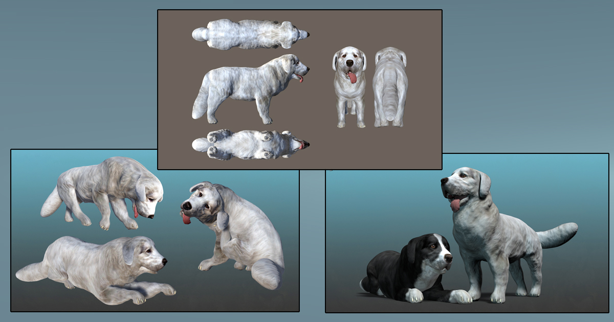 Dog - Tatra Sheepdog (Full) | Characters | Unity Asset Store
