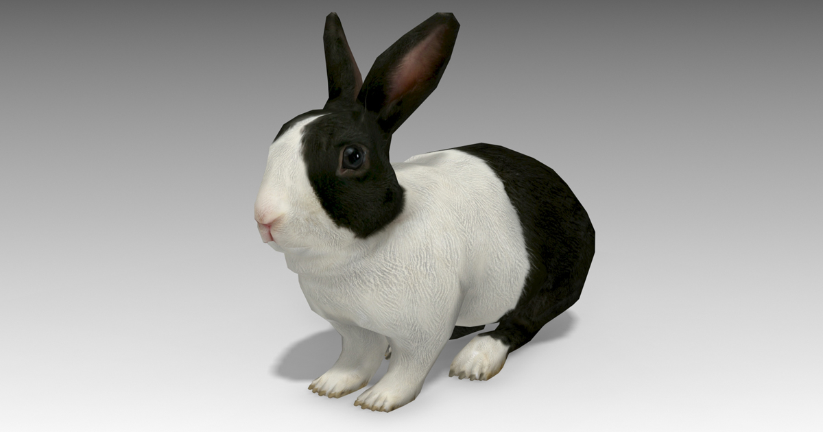 Rabbit Animated | Characters | Unity Asset Store