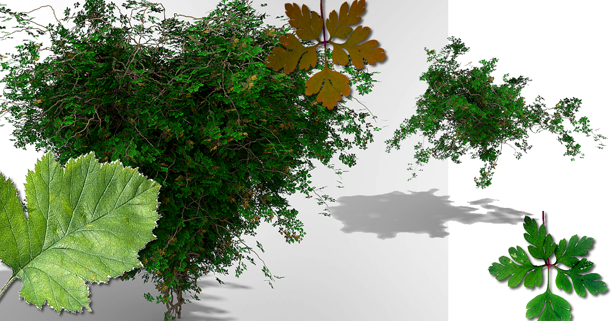 MEGA BUSH Volume 02 | 3D Vegetation | Unity Asset Store