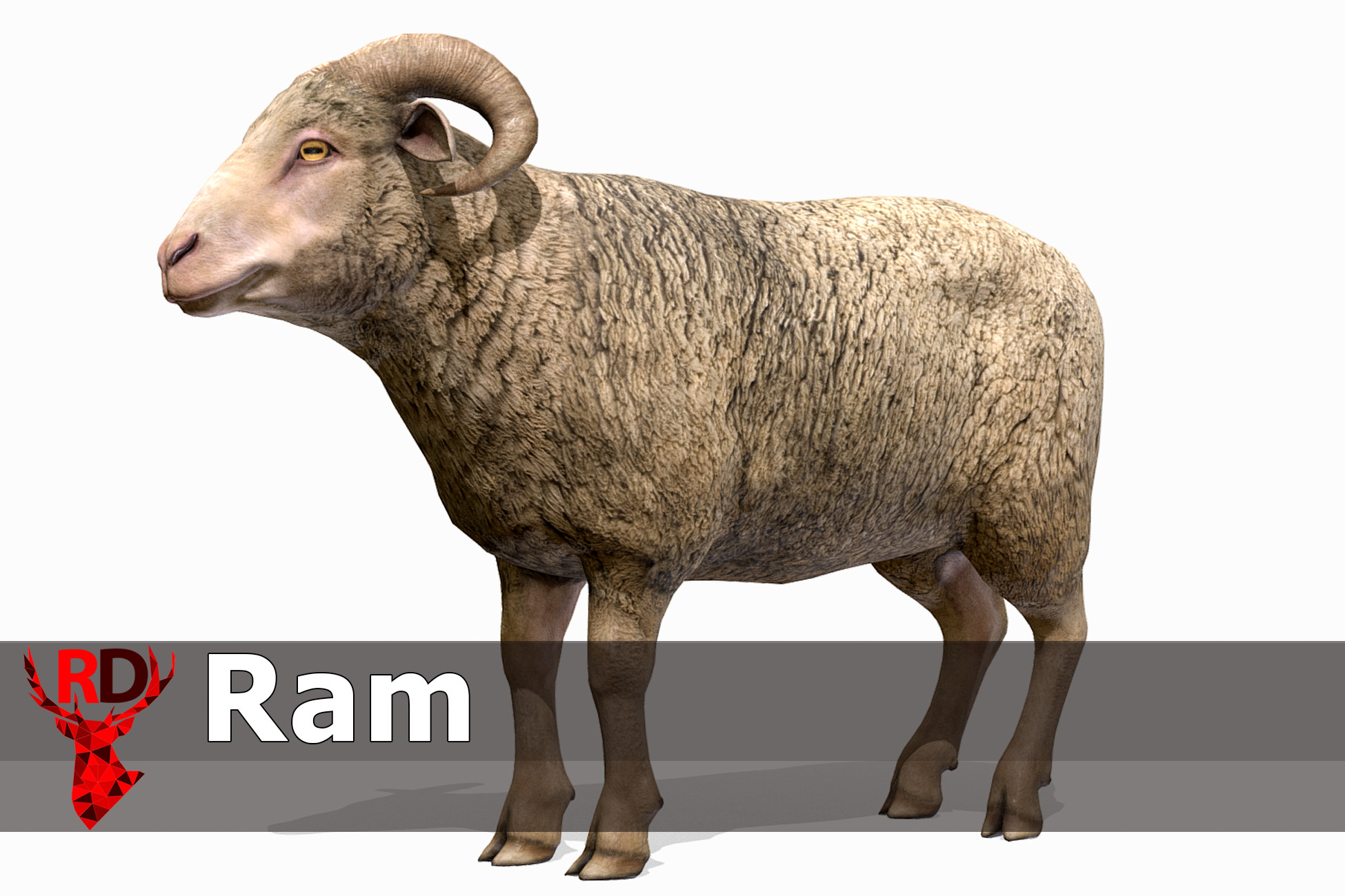 Ram | Characters | Unity Asset Store