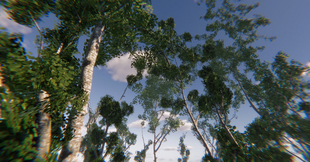 Trees Collection Asset PBR | 3D Trees | Unity Asset Store