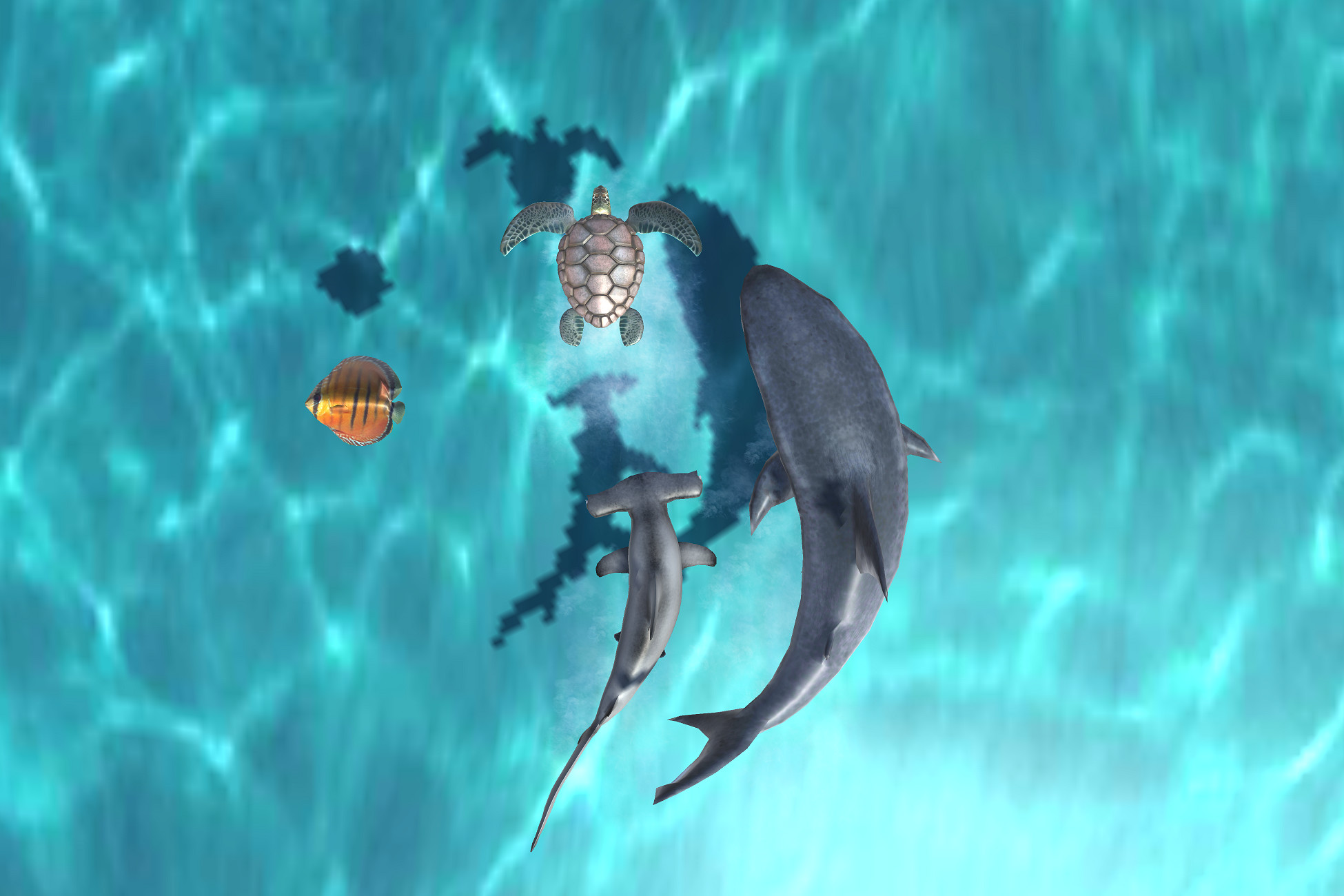 Chase Sea Turtle Game | Packs | Unity Asset Store