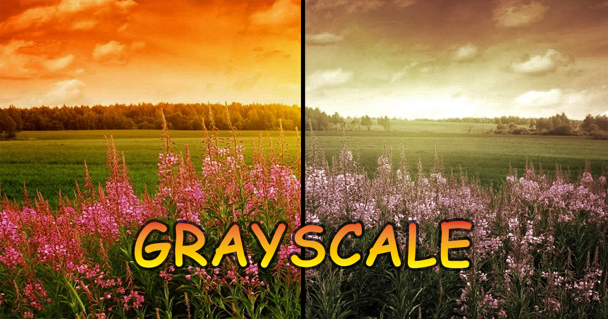 GrayScale_CameraPostEffect | VFX Shaders | Unity Asset Store