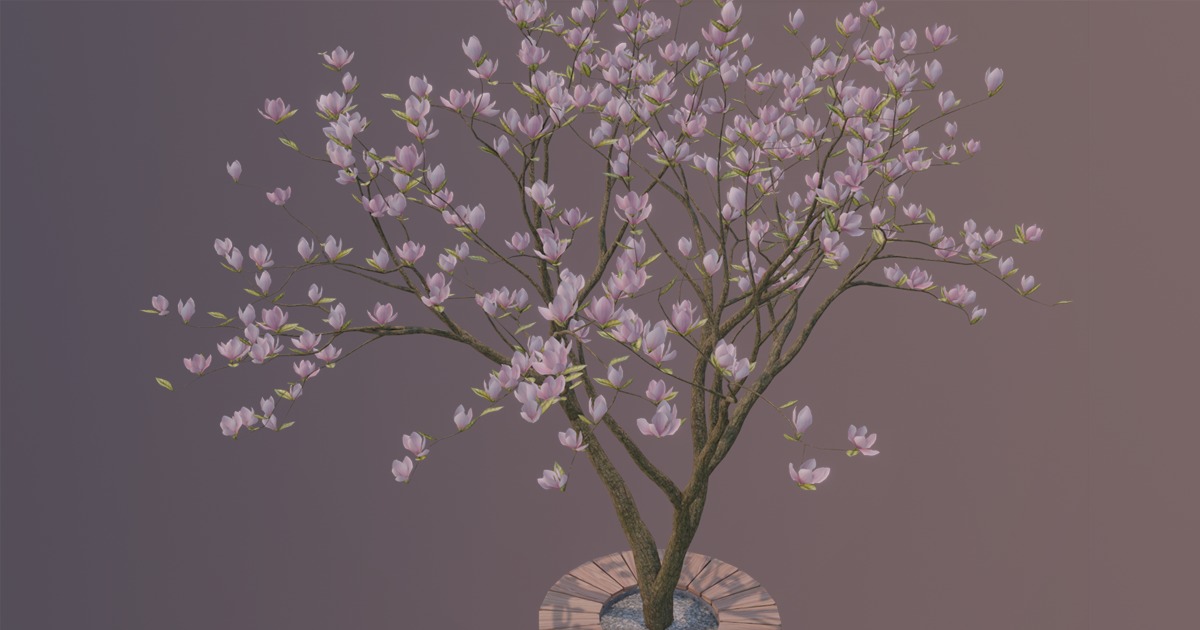 Pink magnolia tree (3D) | 3D Trees | Unity Asset Store