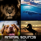 Ultimate Animal Sounds - HD Rework
