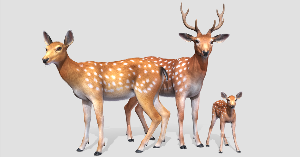 Deer Family | Characters | Unity Asset Store