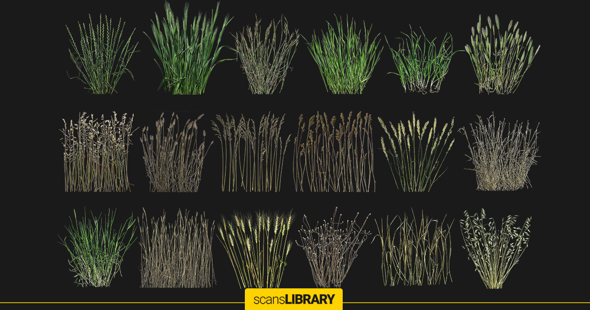 Grass Atlas Scans | 2D Textures & Materials | Unity Asset Store