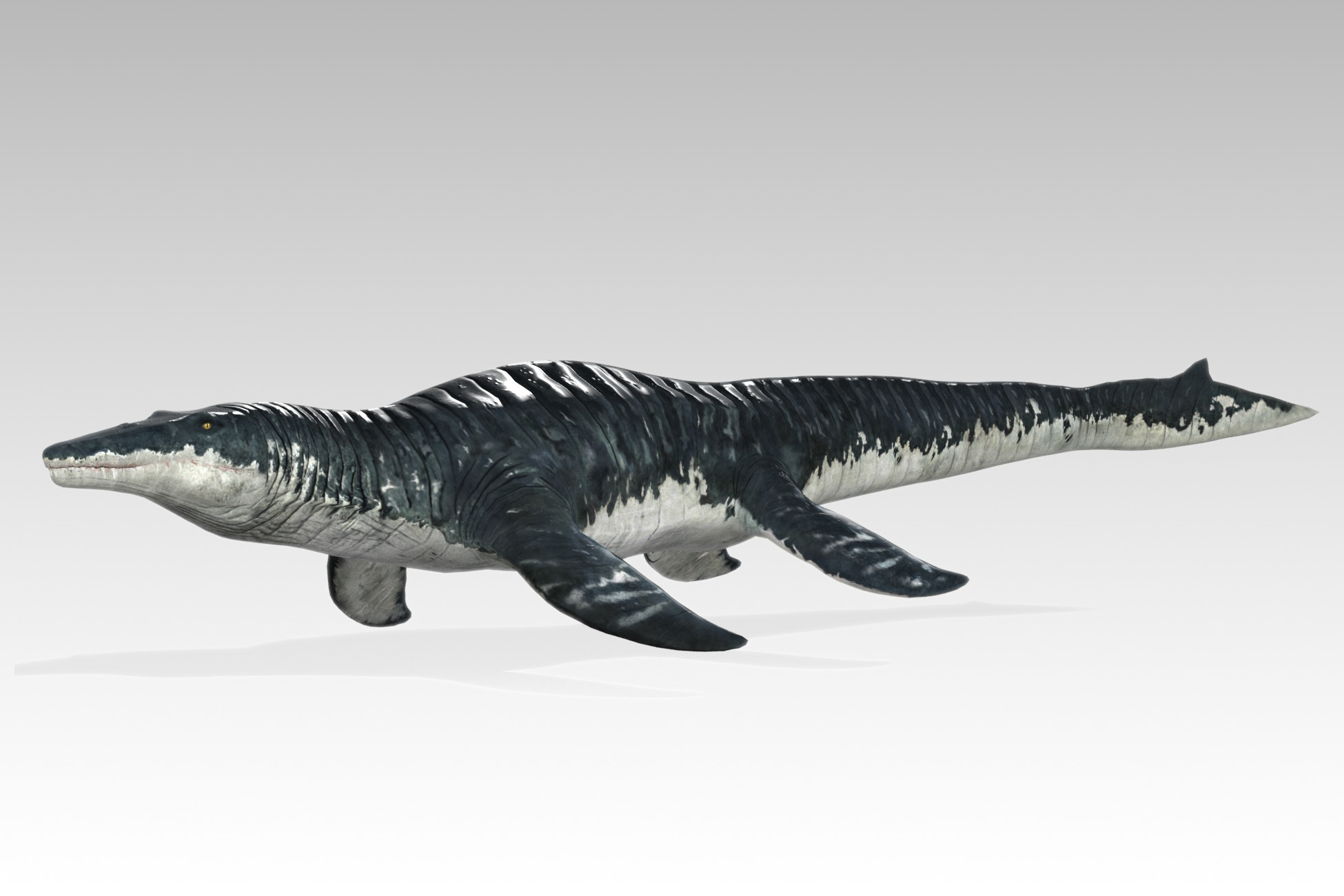 Mosasaurus(Animated) | Characters | Unity Asset Store