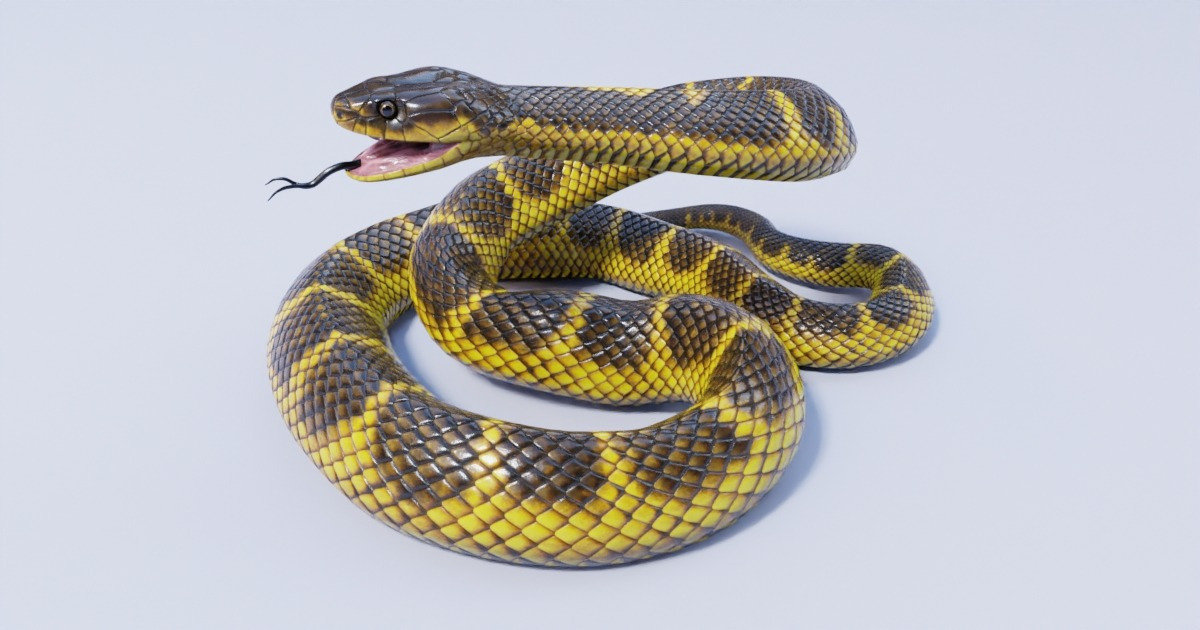 Tiger Snake | Characters | Unity Asset Store