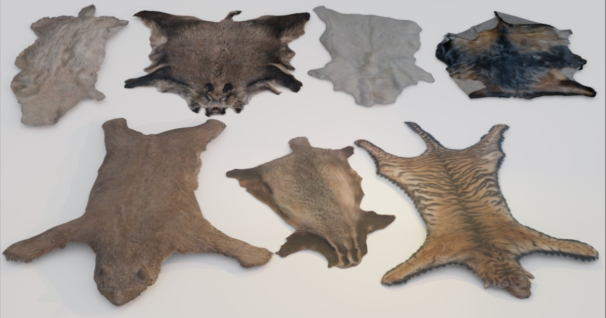 animal pelts volume three: cheetah, badger, boar, goat, sheep, bear ...