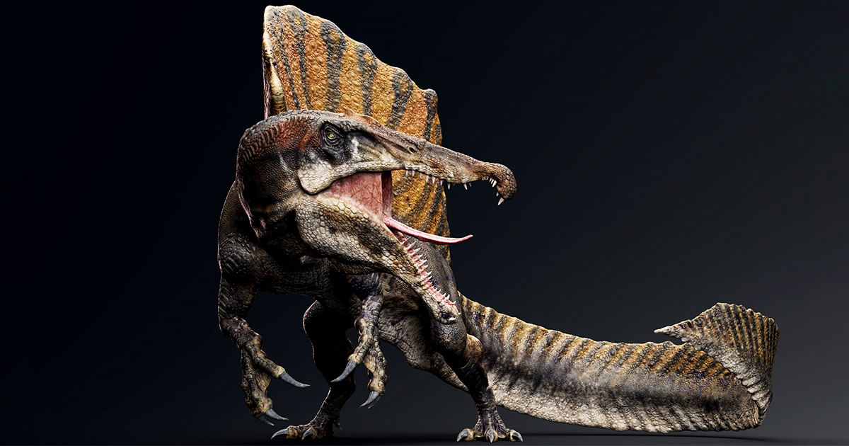 Spinosaurus Real Dinosaur Series | 3D Creatures | Unity Asset Store