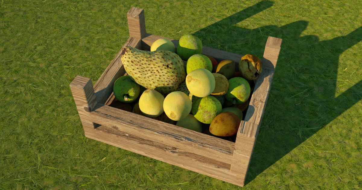 HD Fruits - Exotic Pack | 3D Food | Unity Asset Store