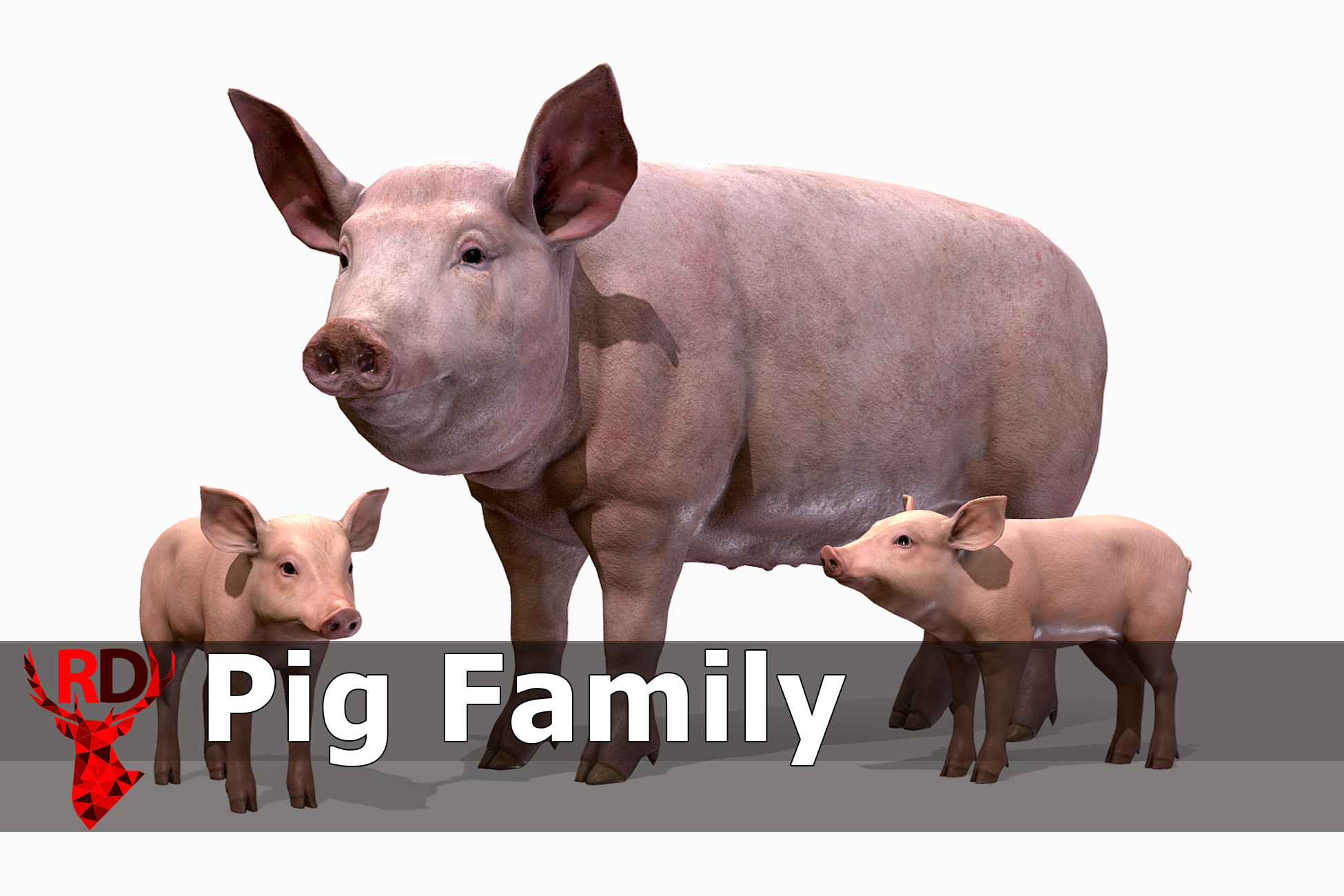 Pig Family | Characters | Unity Asset Store