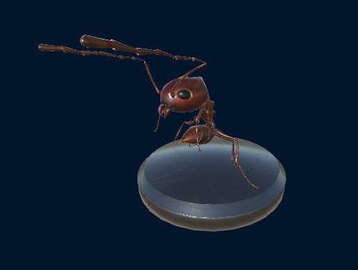 One Ant - Warrior Ant | 3D | Unity Asset Store