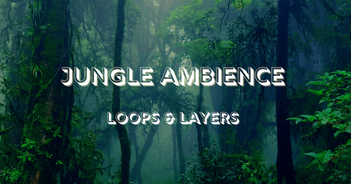Jungle Ambience Pack – Loops and Layers | Nature Ambient | Unity Asset Store