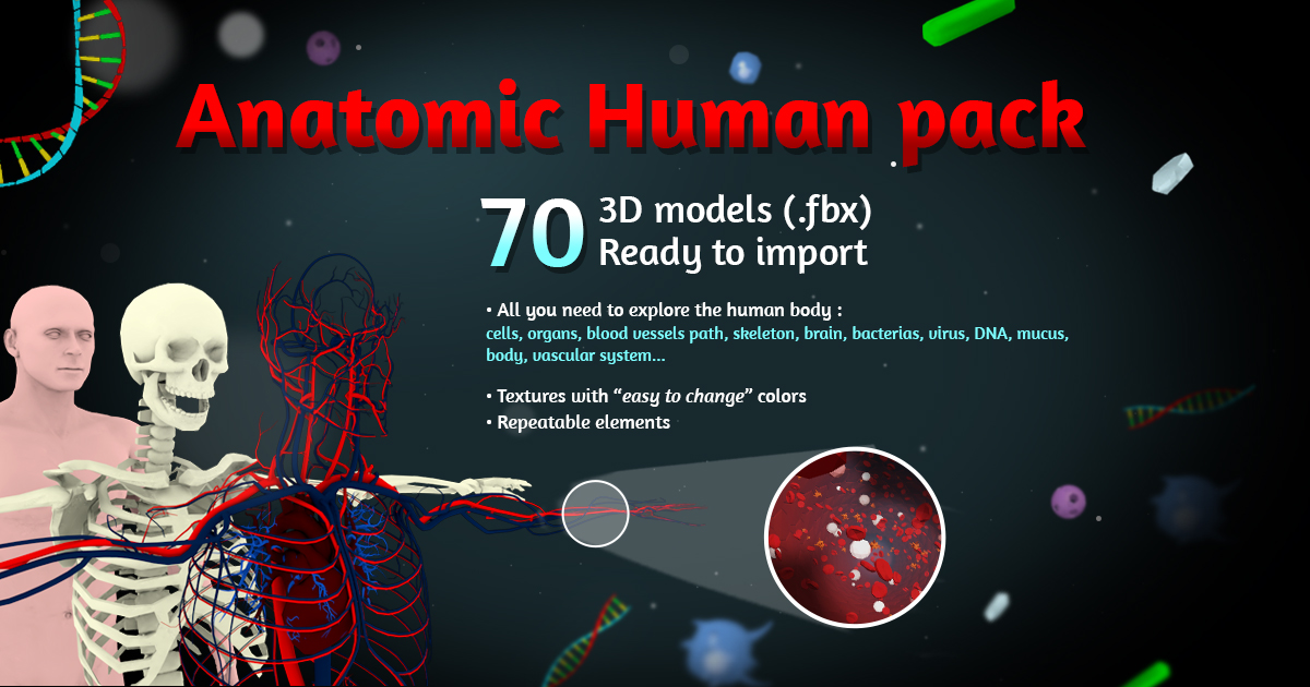 Anatomic Pack | 3D Props | Unity Asset Store