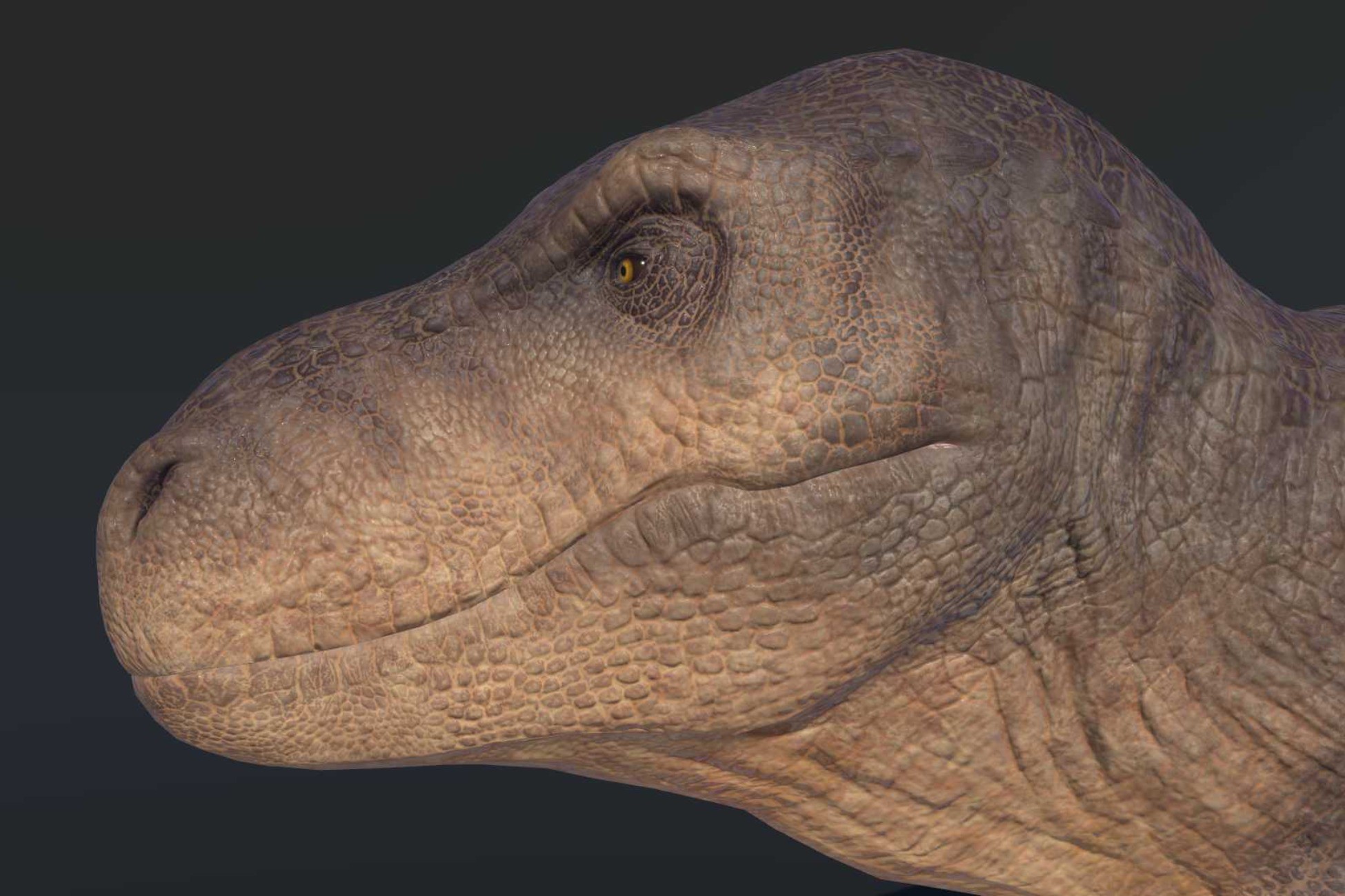 Dinosaur T-Rex | Characters | Unity Asset Store