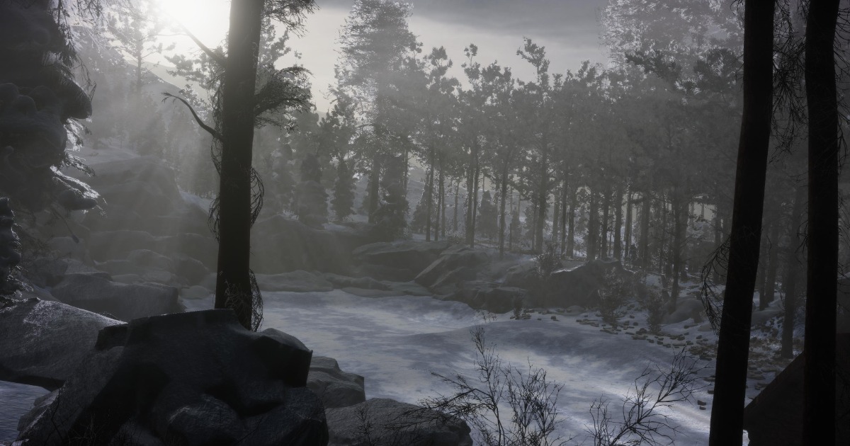 Taiga Biome Environment / Boreal Tundra Forest | 3D Landscapes | Unity ...