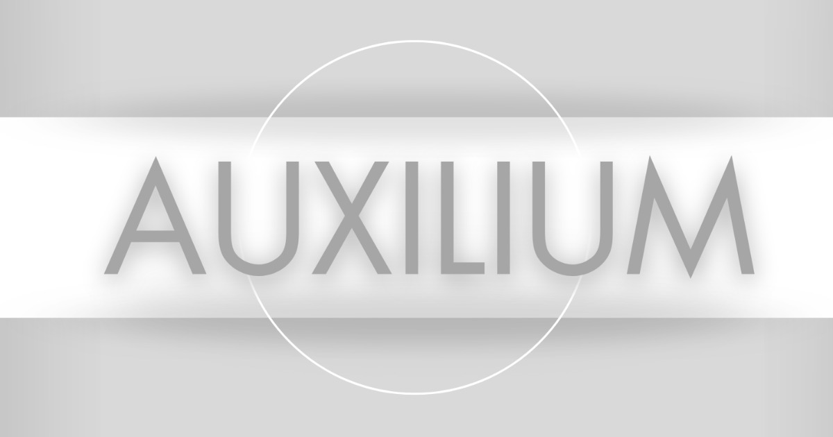 Auxilium Inventory (GC2) | Visual Scripting | Unity Asset Store