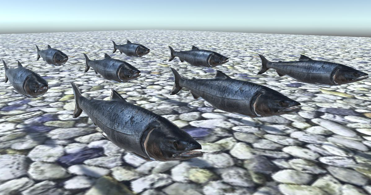 Salmon | Characters | Unity Asset Store