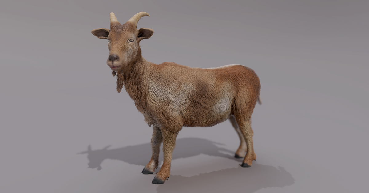 GOAT | Characters | Unity Asset Store