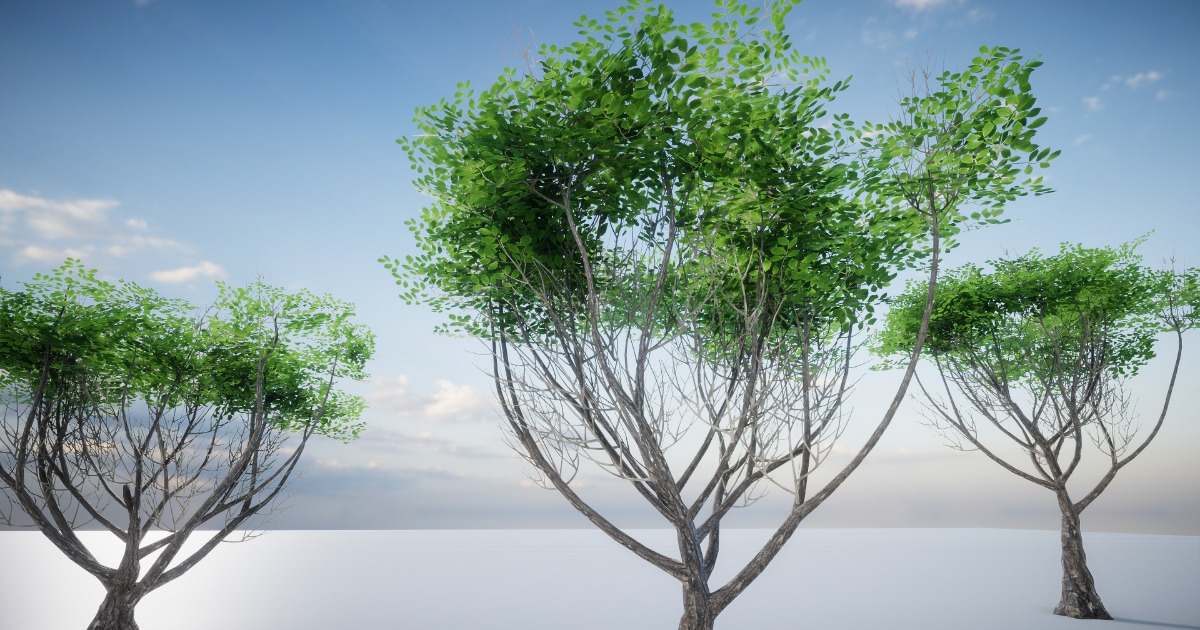 HDRP Tree Pack 5 | 3D Trees | Unity Asset Store
