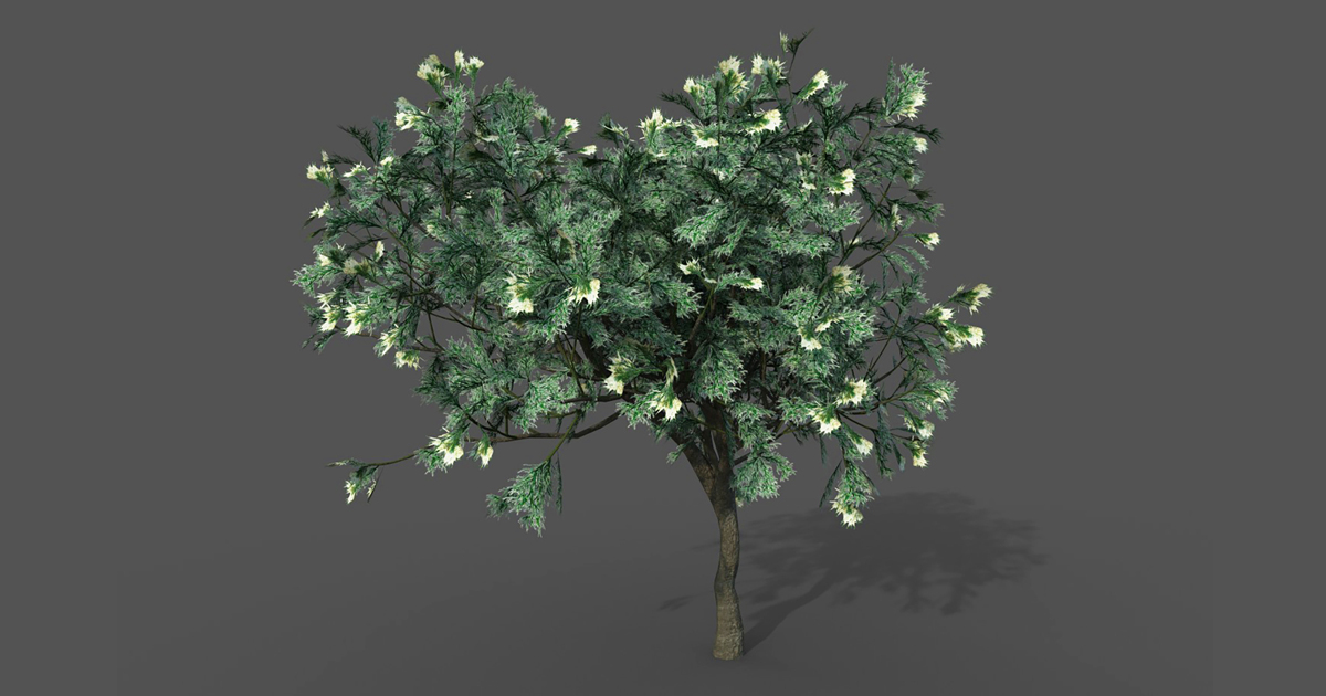 3D Tea tree | 3D Trees | Unity Asset Store