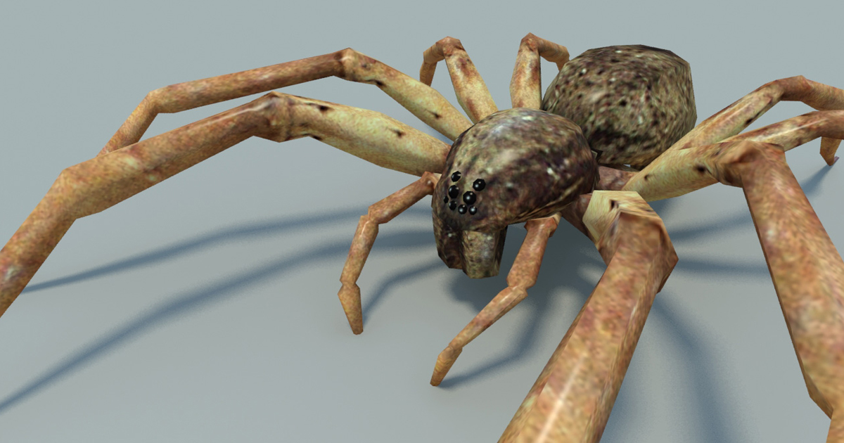 fishing spider animated | Characters | Unity Asset Store