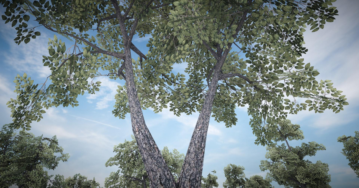 Mobile Realistic Tree 11 | 3D Trees | Unity Asset Store