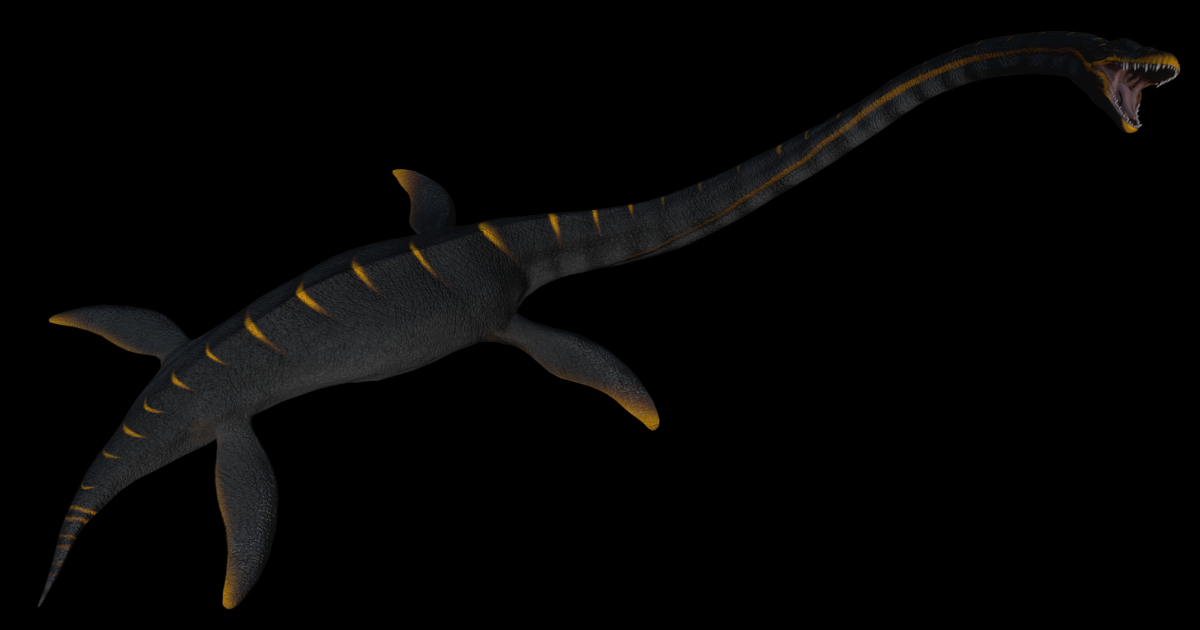 Elasmosaurus Asset Pack | Characters | Unity Asset Store