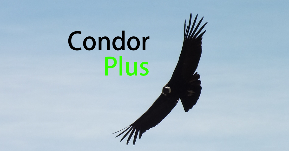 Condor Plus | Integration | Unity Asset Store