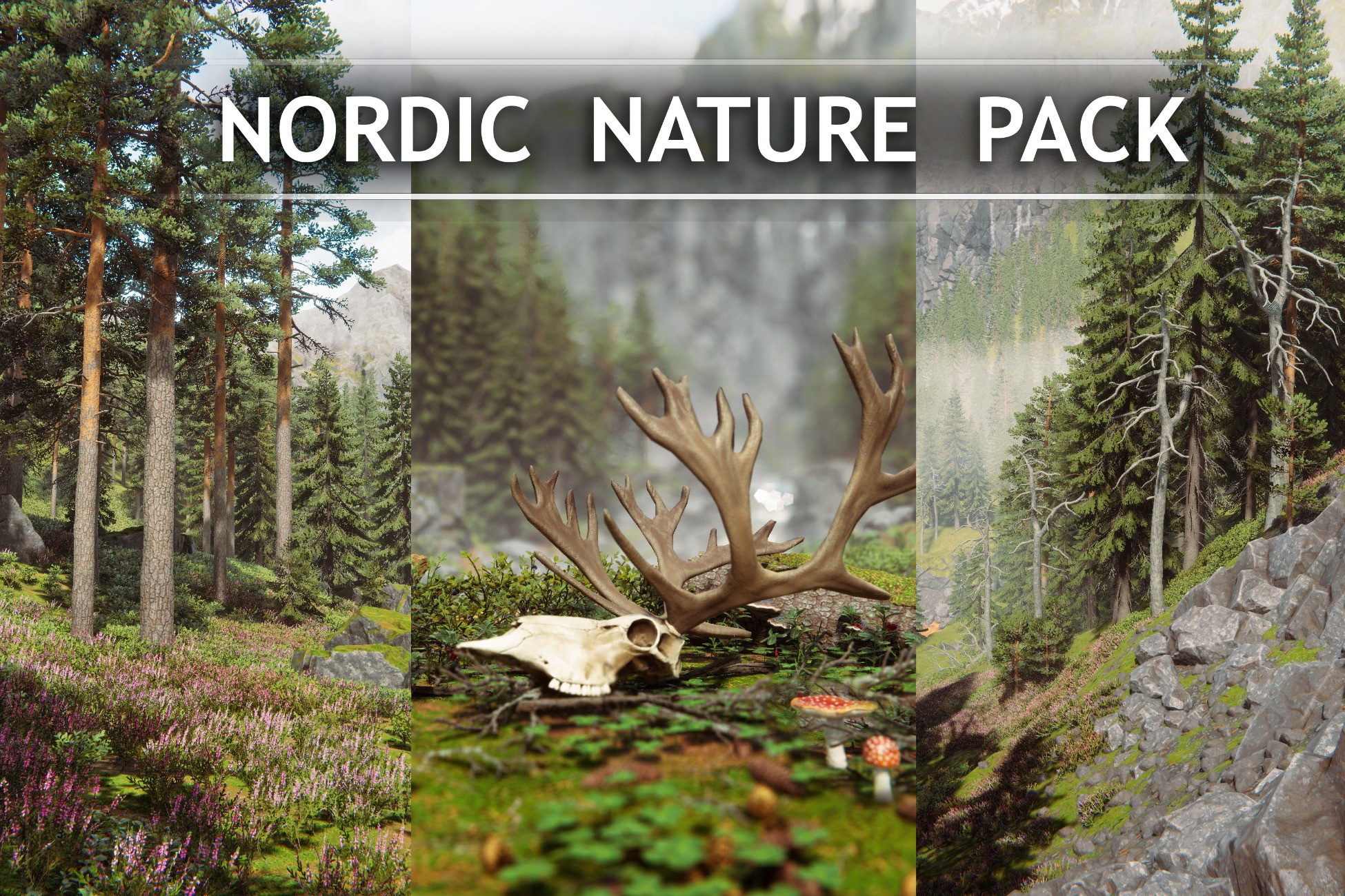 Nordic Conifer Environment | 3D Vegetation | Unity Asset Store