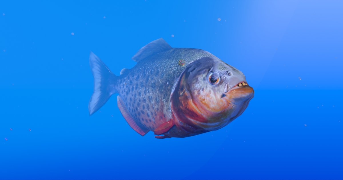 Piranha Animated | Characters | Unity Asset Store