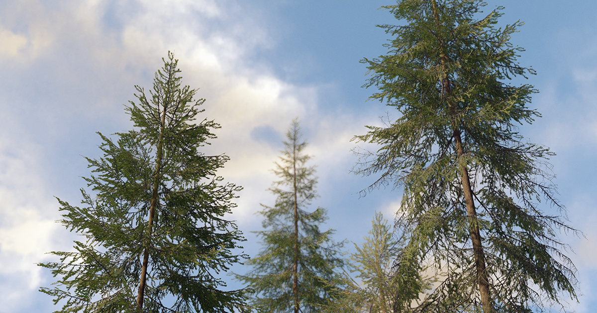 Nature Assets - Spruce Trees | 3D Trees | Unity Asset Store