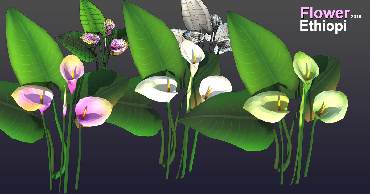 Flower Ethiopi | 3D Flowers | Unity Asset Store