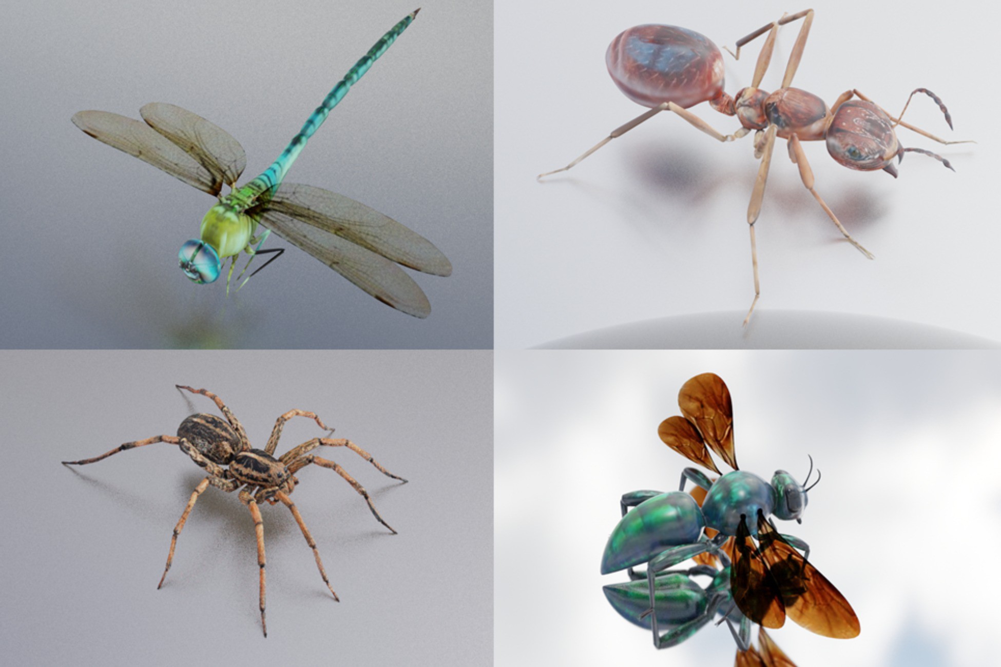 Insects and Arachnids (pack 1) | Characters | Unity Asset Store