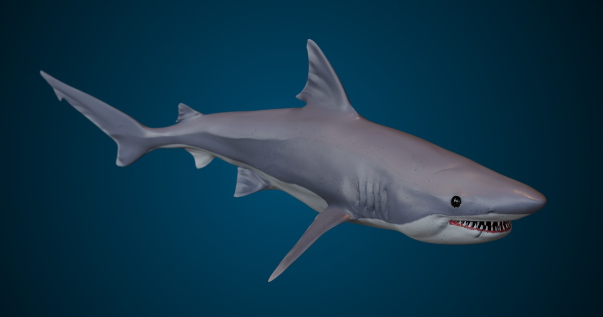 Animated Shark (01) | Characters | Unity Asset Store