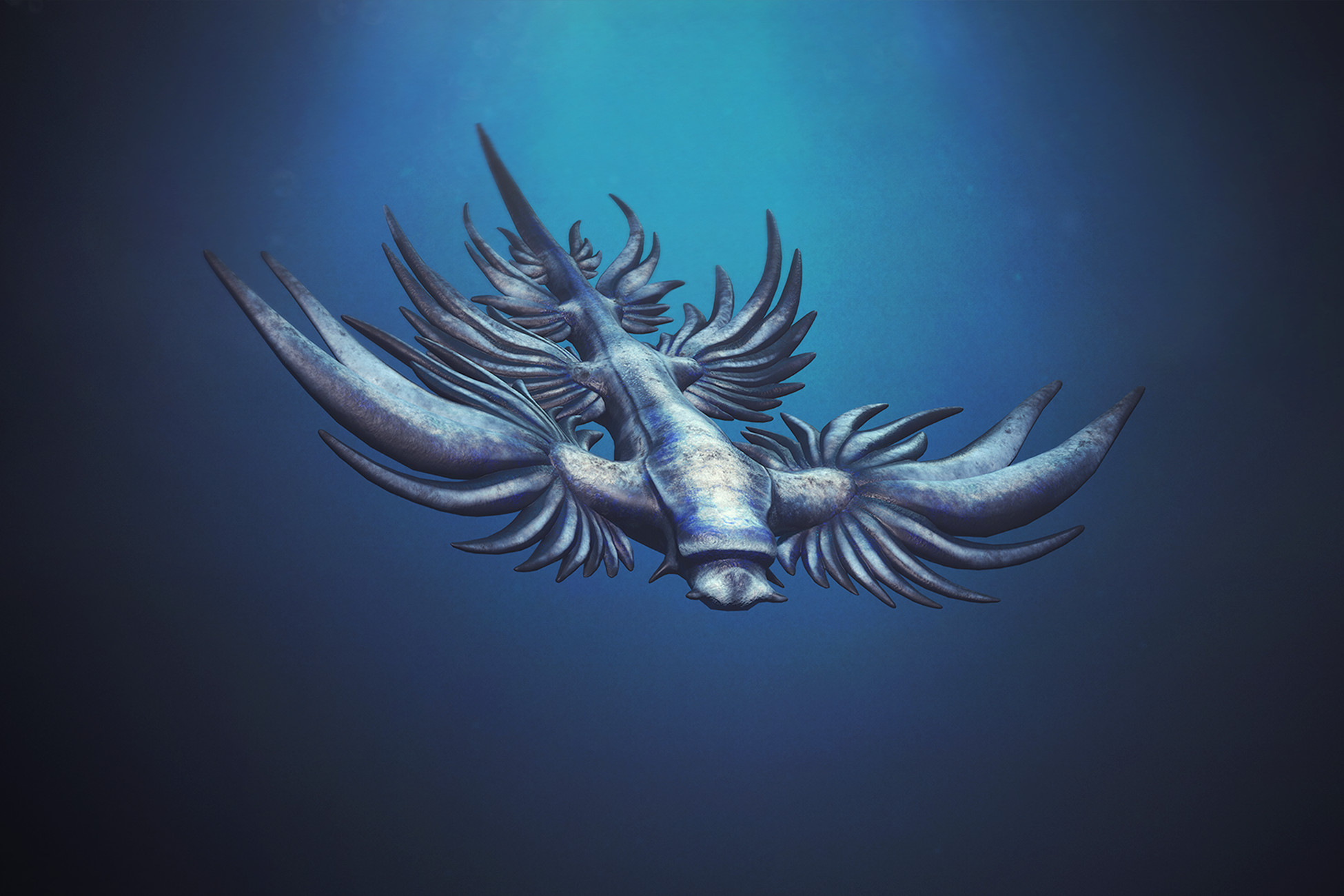 Sea Blue Dragon | 캐릭터 | Unity Asset Store