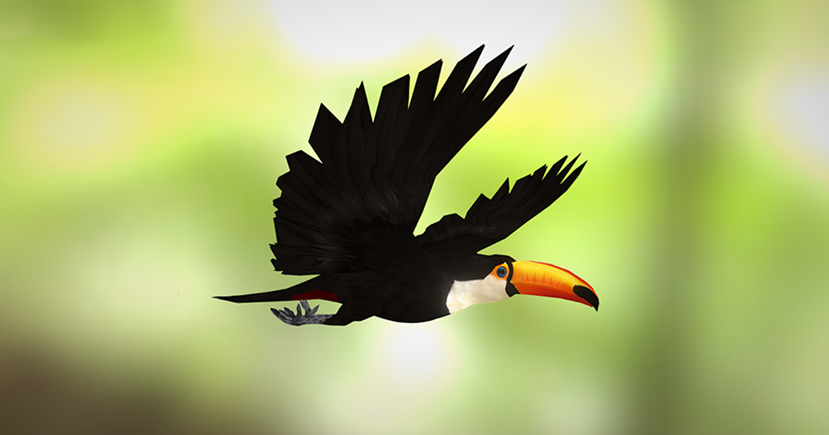 Bird Flock Toucan | Characters | Unity Asset Store