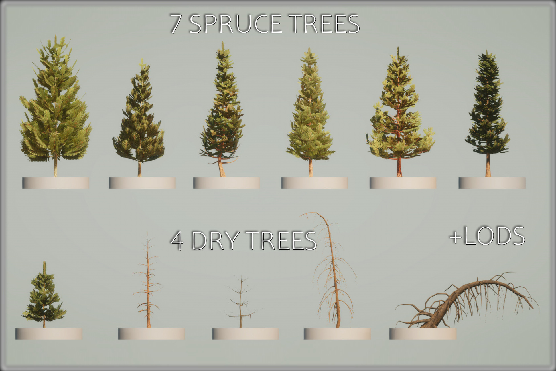 Pine Spruce Coniferous Trees Pack | 3D Trees | Unity Asset Store