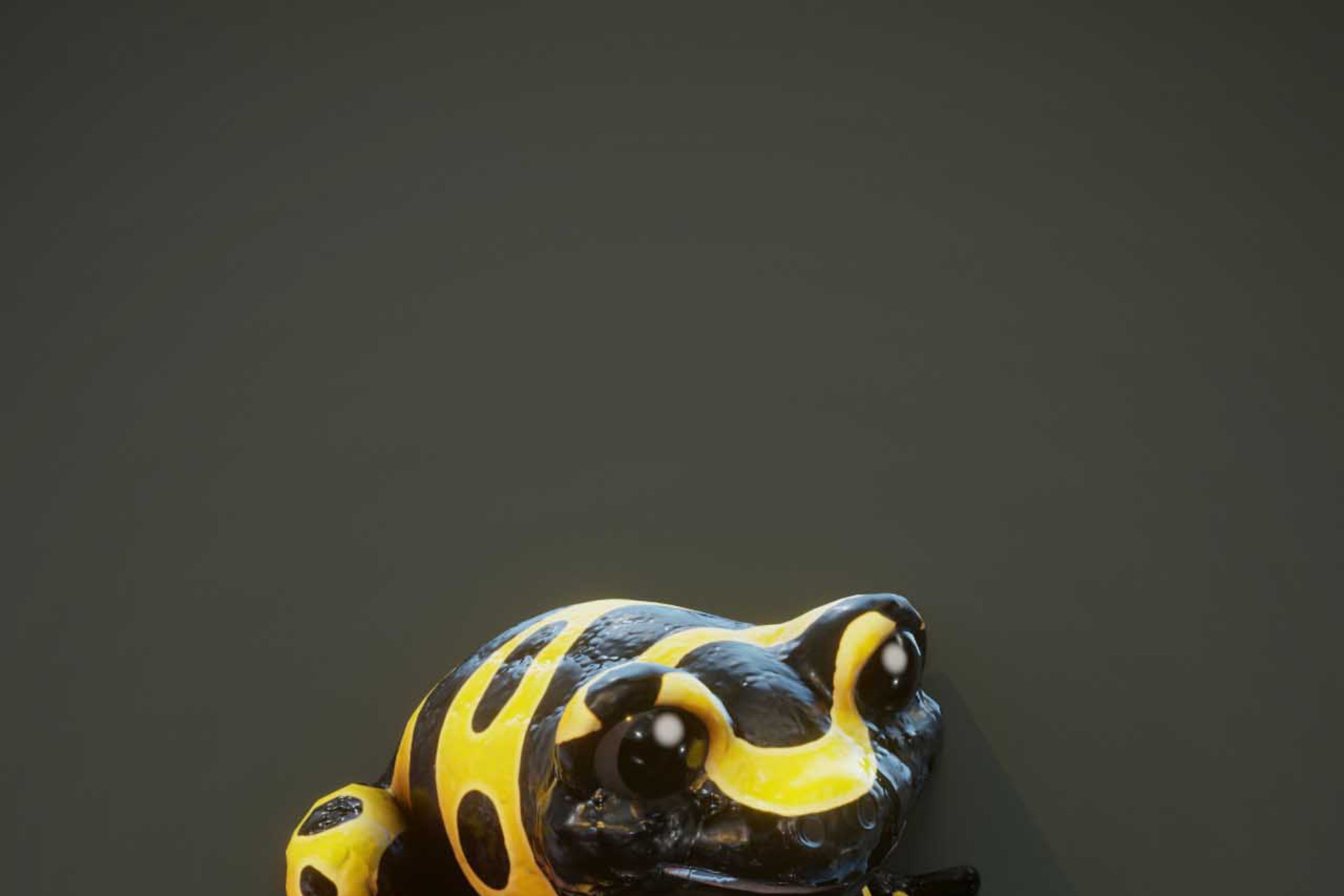 Cartoon Yellow-banded Frog Animated 3D Model | 3D Animals | Unity Asset ...
