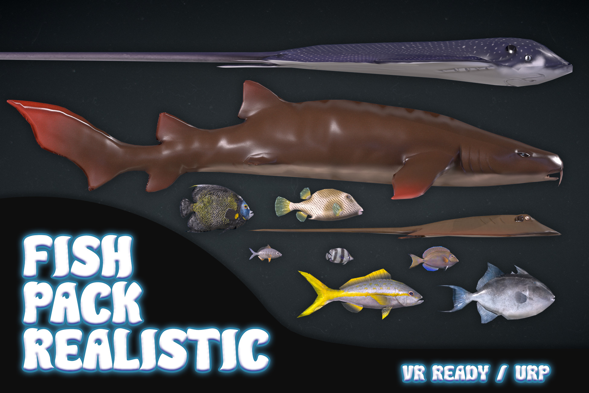 Realistic Caribbean Fishes | VR Ready | URP | Characters | Unity Asset Store