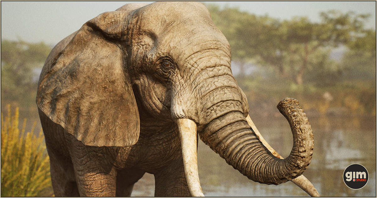 Animalia - African Elephant (male) | 3D Animals | Unity Asset Store