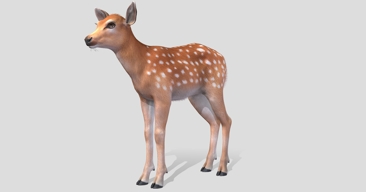 Deer - Calf | Characters | Unity Asset Store