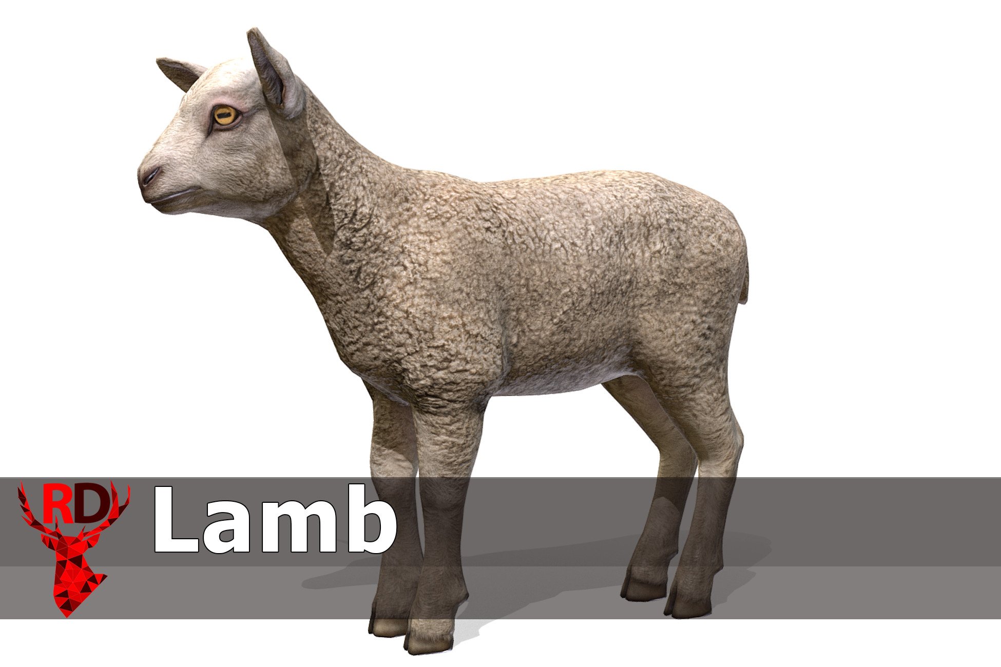 Lamb | Characters | Unity Asset Store