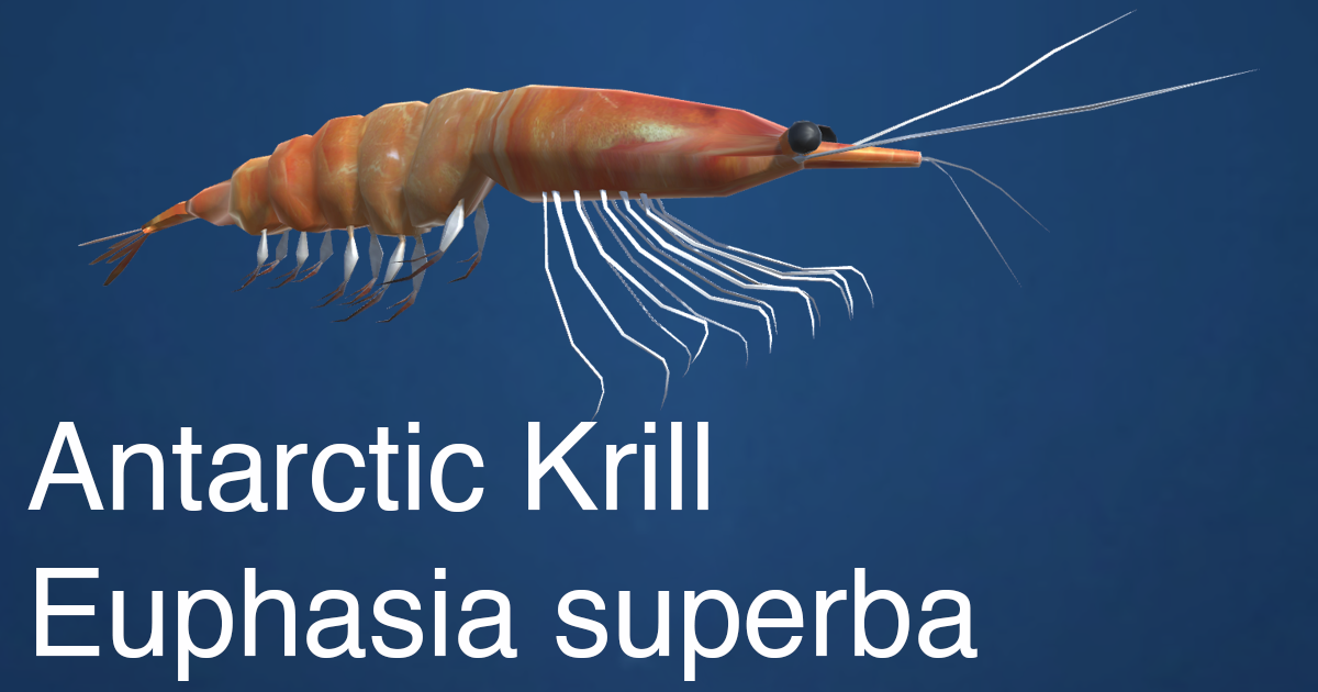 Antarctic Krill | 3D Animals | Unity Asset Store