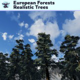 European Forests - Realistic Trees