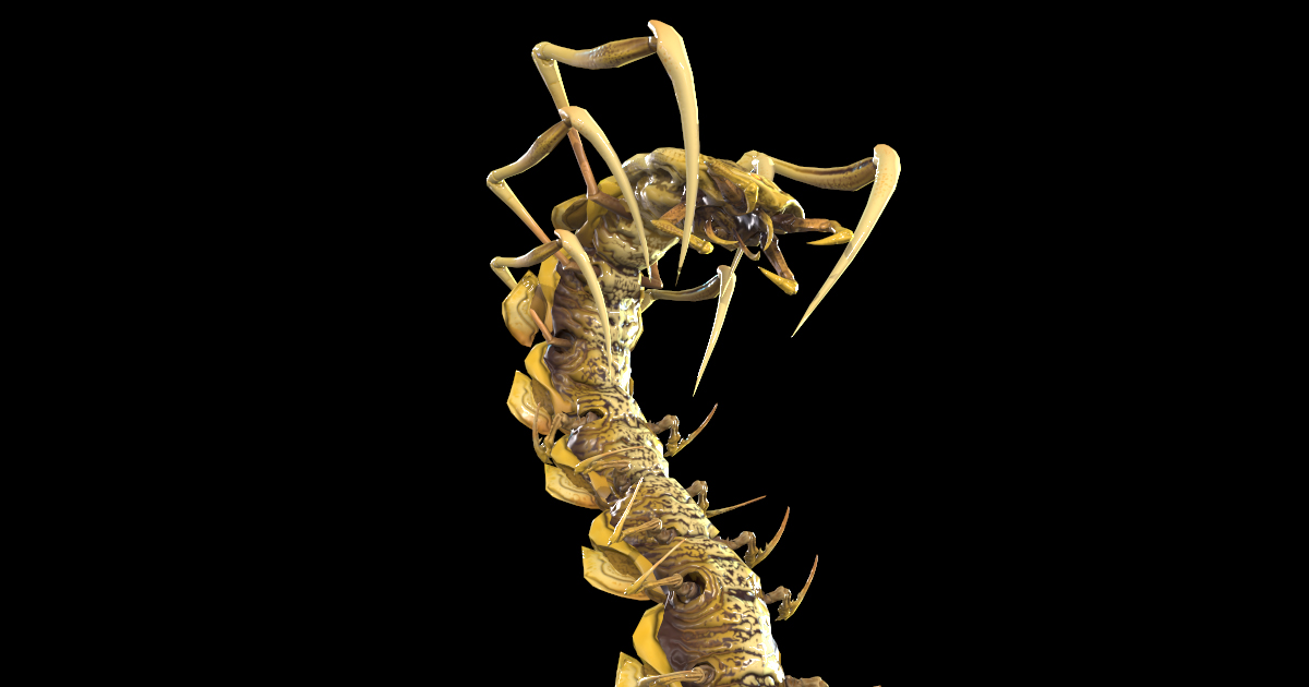 Giant Centipede | Characters | Unity Asset Store